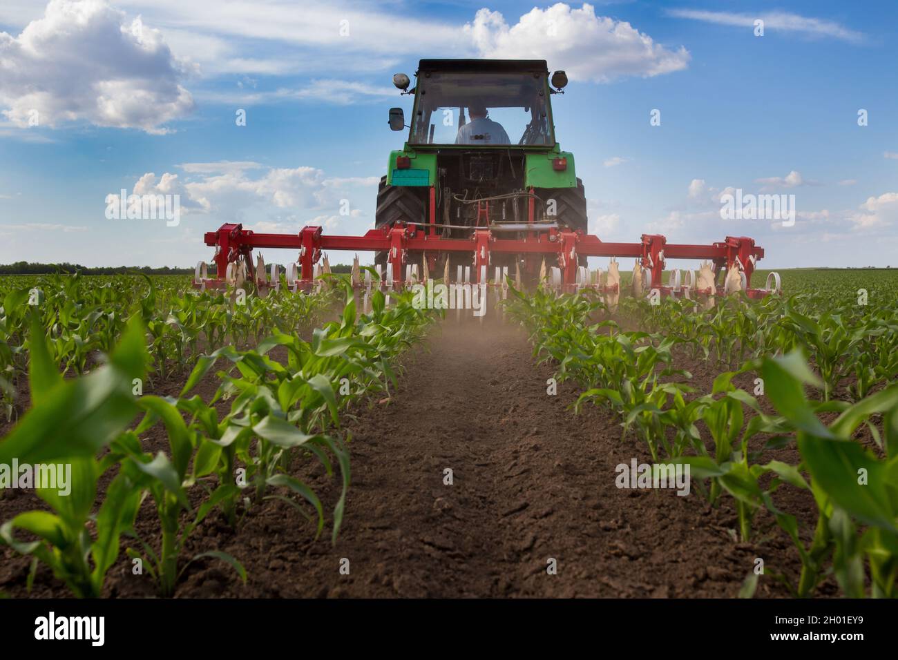 Wide angle of tractor with plowing equipment in corn field in spring ...