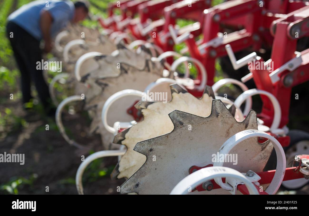 Close up of blades of harrowing equipment attached to tractor in corn ...