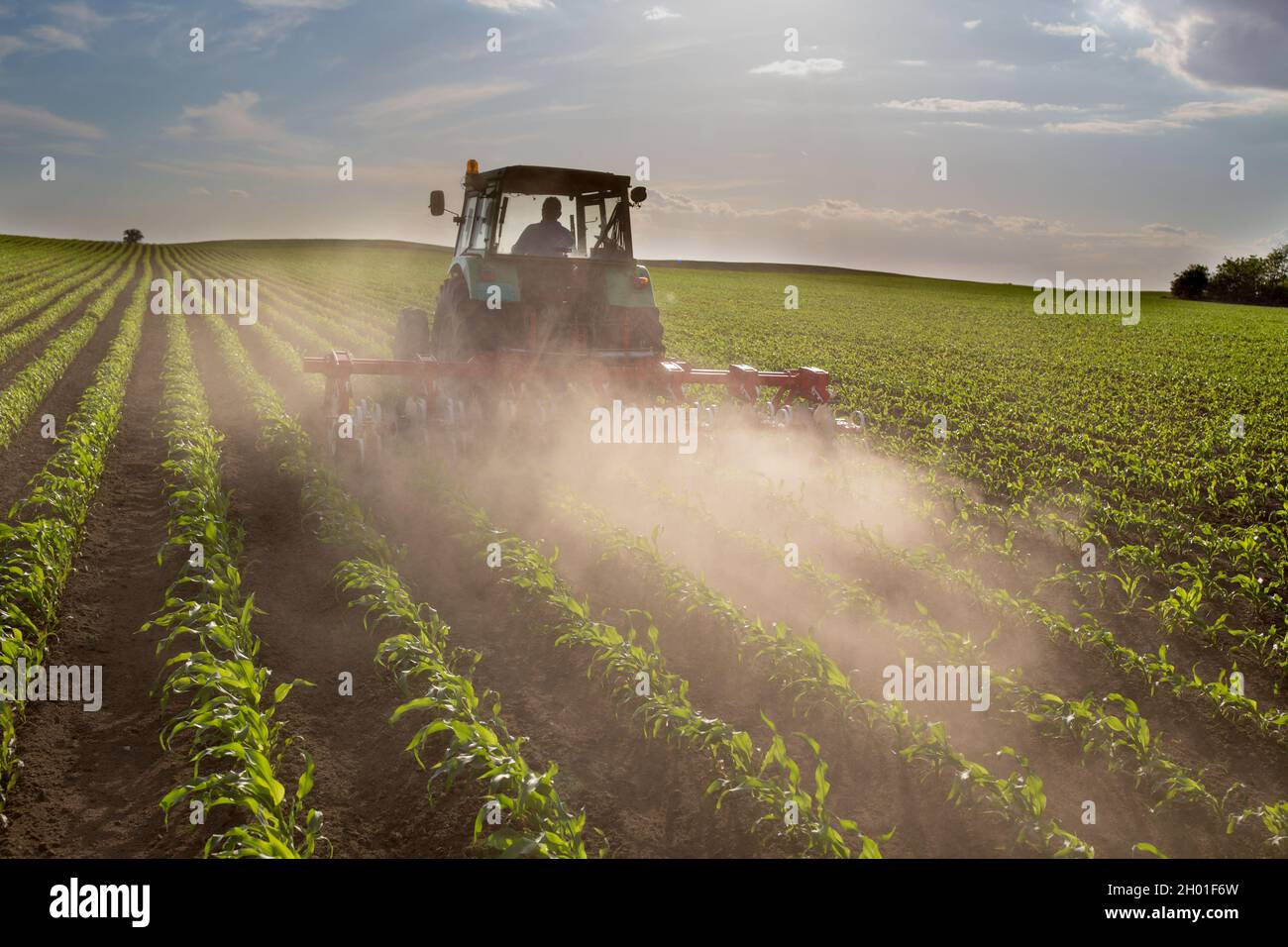 Tractor with plowing equipment in corn field in spring time Stock Photo ...