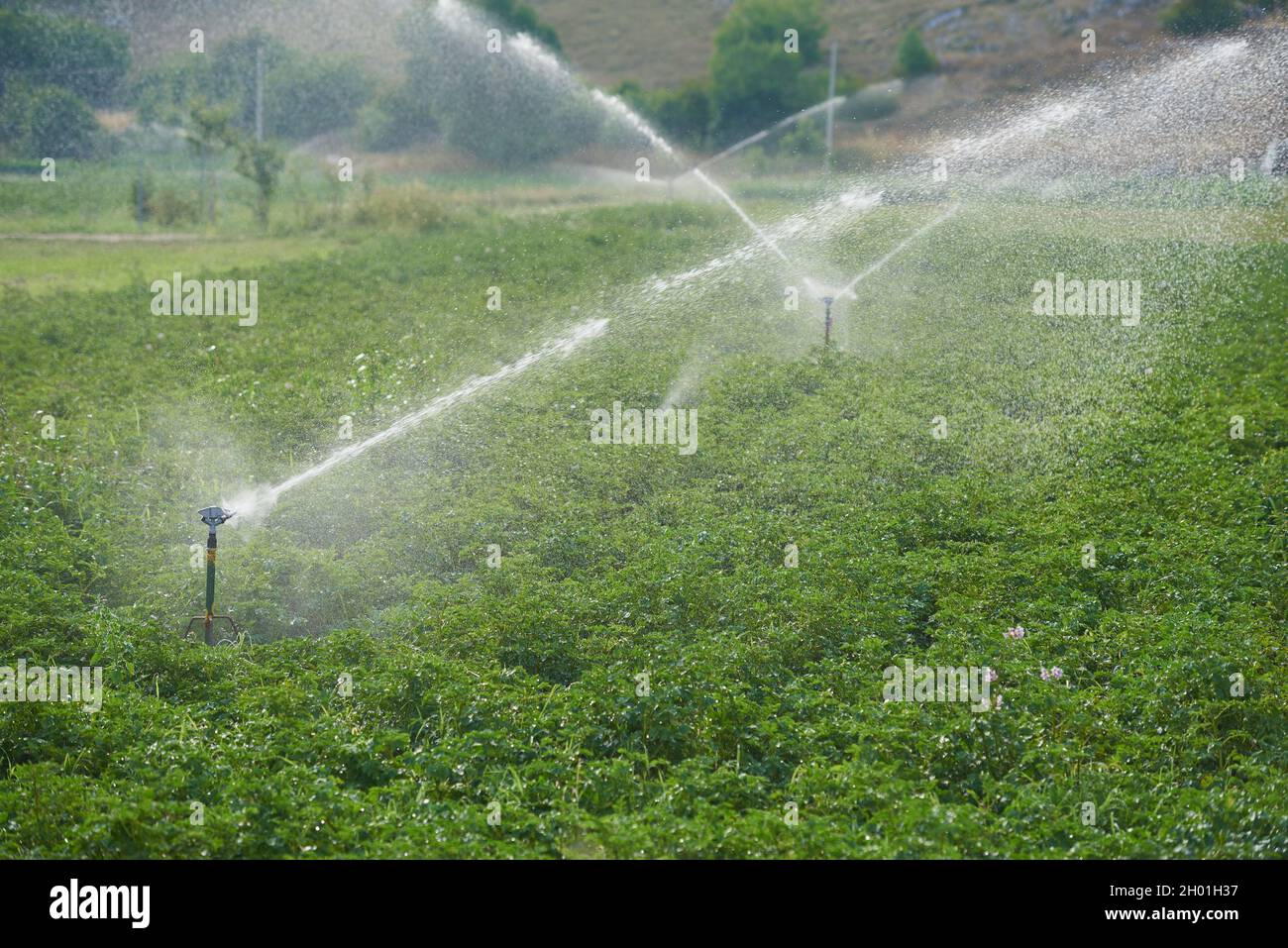Field irrigation system hi-res stock photography and images - Alamy