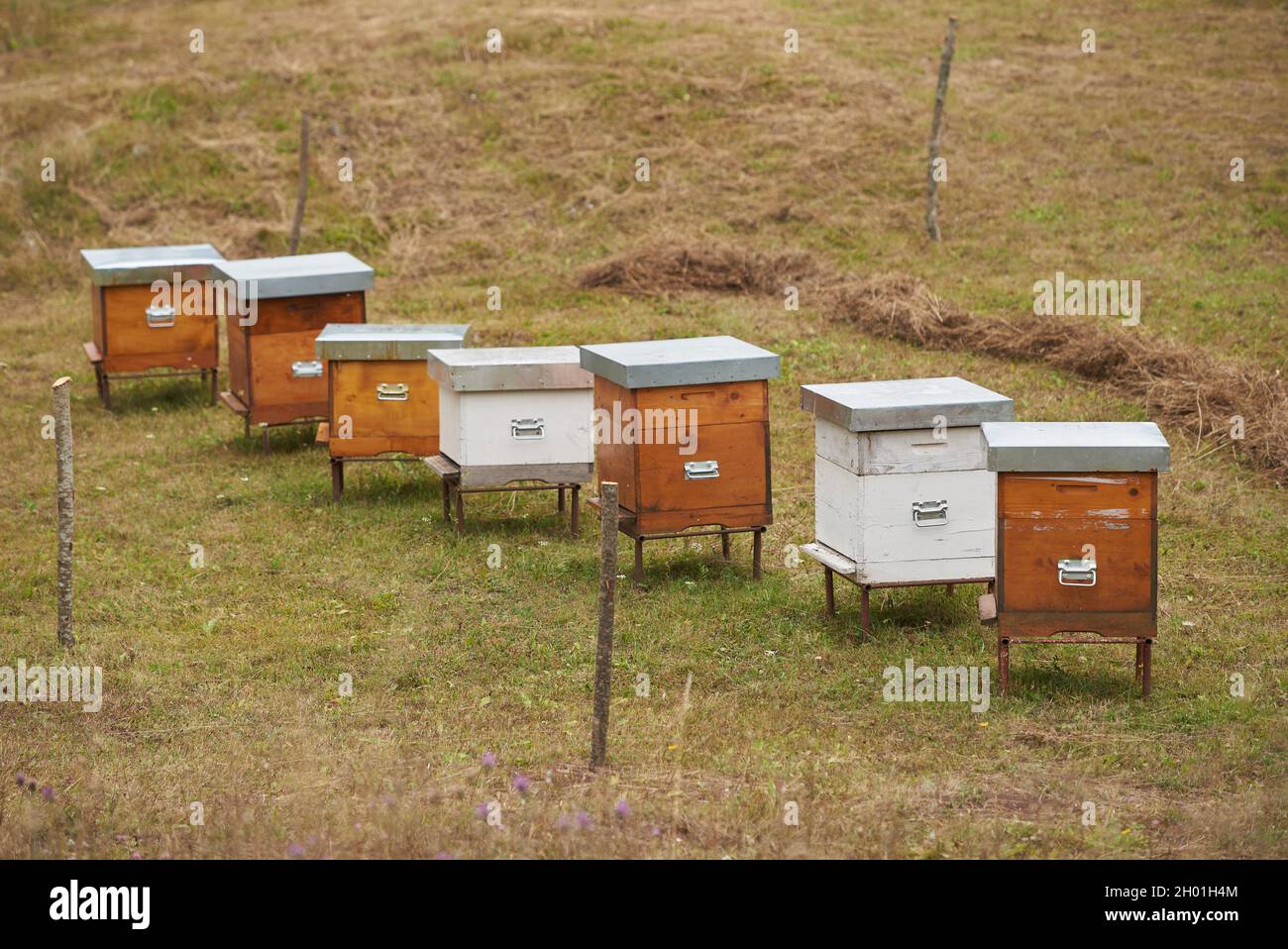 Bee hives europe hi-res stock photography and images - Alamy
