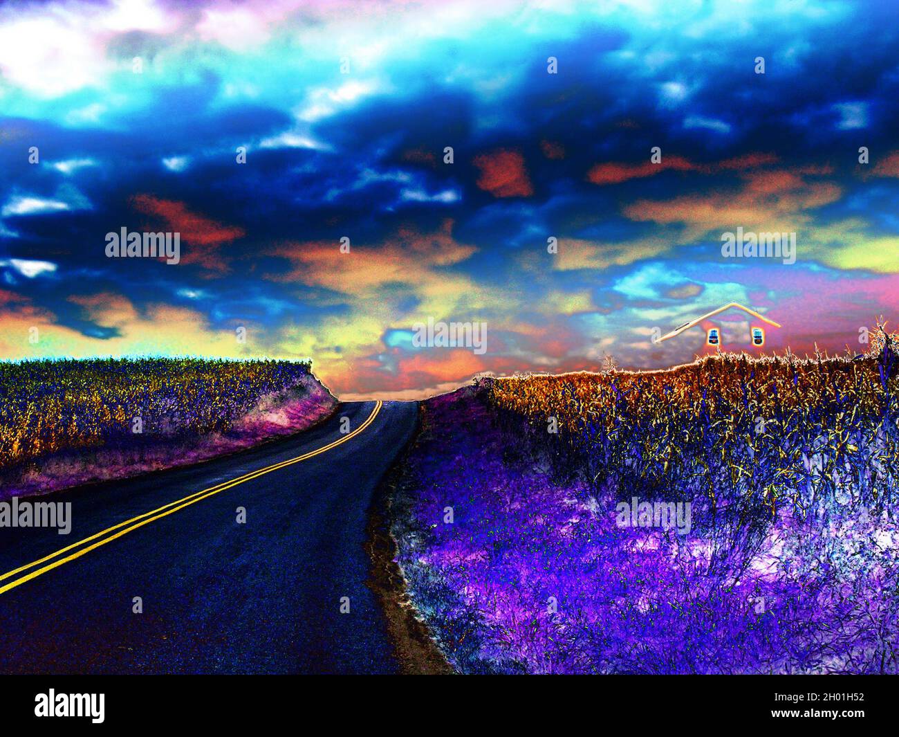 Rural landscape with road and crops. Infrared colors. 3D rendering ...
