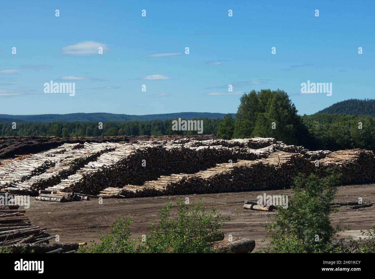 Swedish timber hi-res stock photography and images - Alamy
