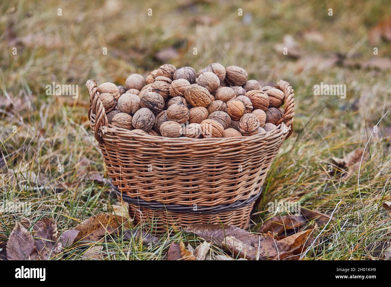 Fruit and nut basket hi-res stock photography and images - Alamy