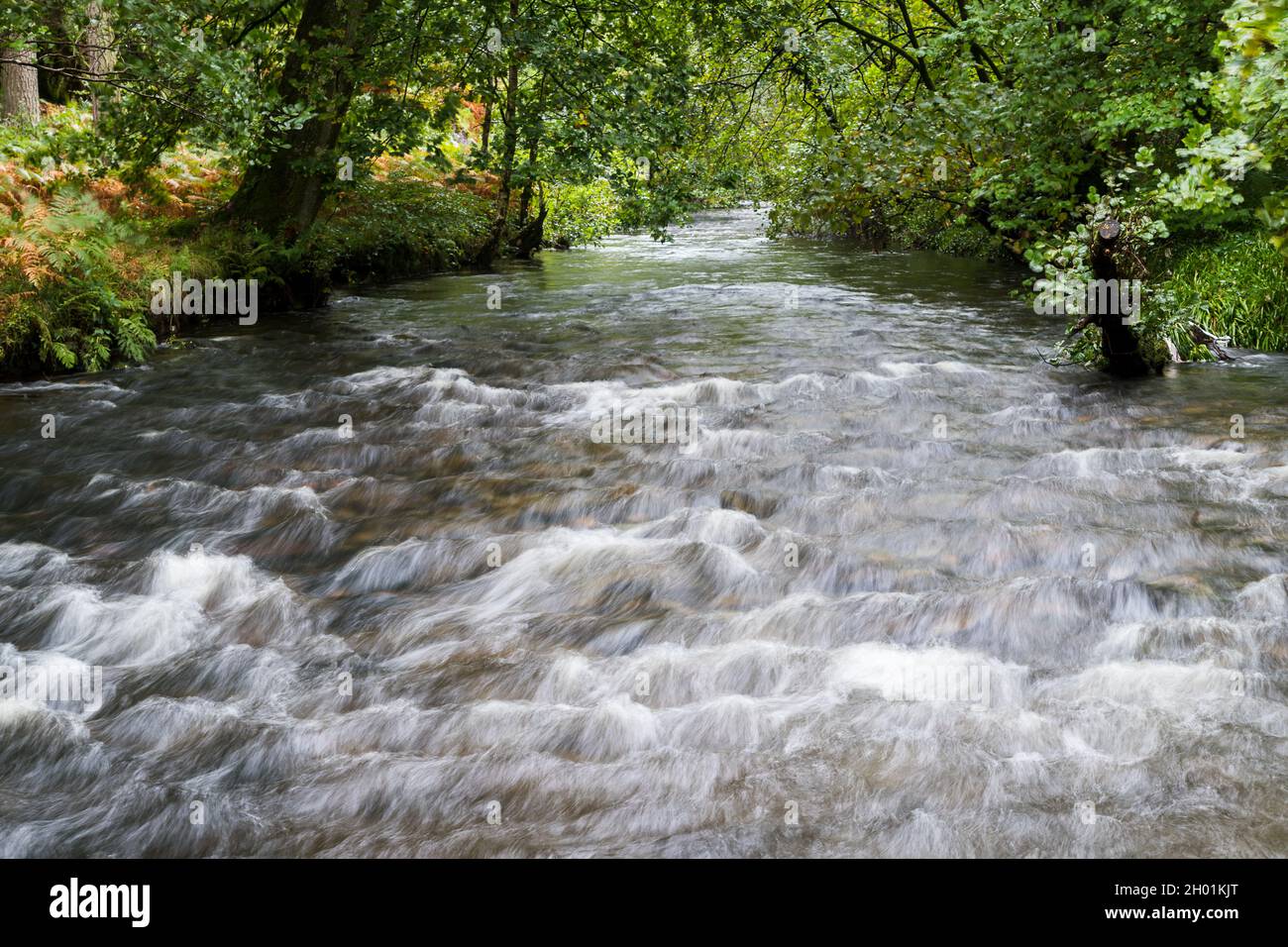 Water flowing towards Llyn Padarn in Llanberis after heavy rainfall in ...