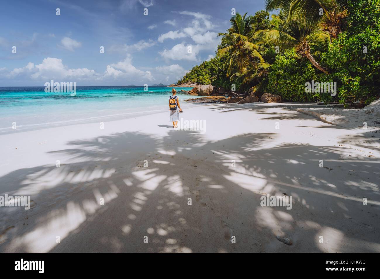 Travel tourist female enjoy exotic tropical beach with palm trees and ...