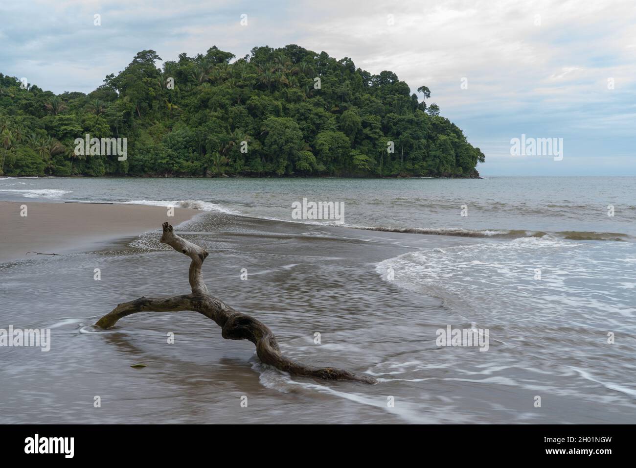 Wooden log on tropical beach Stock Photo - Alamy