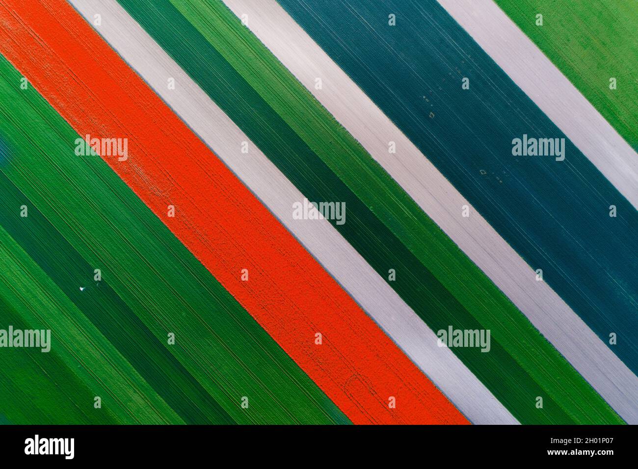 Aerial image of agricultural field with different cultures and colors ...