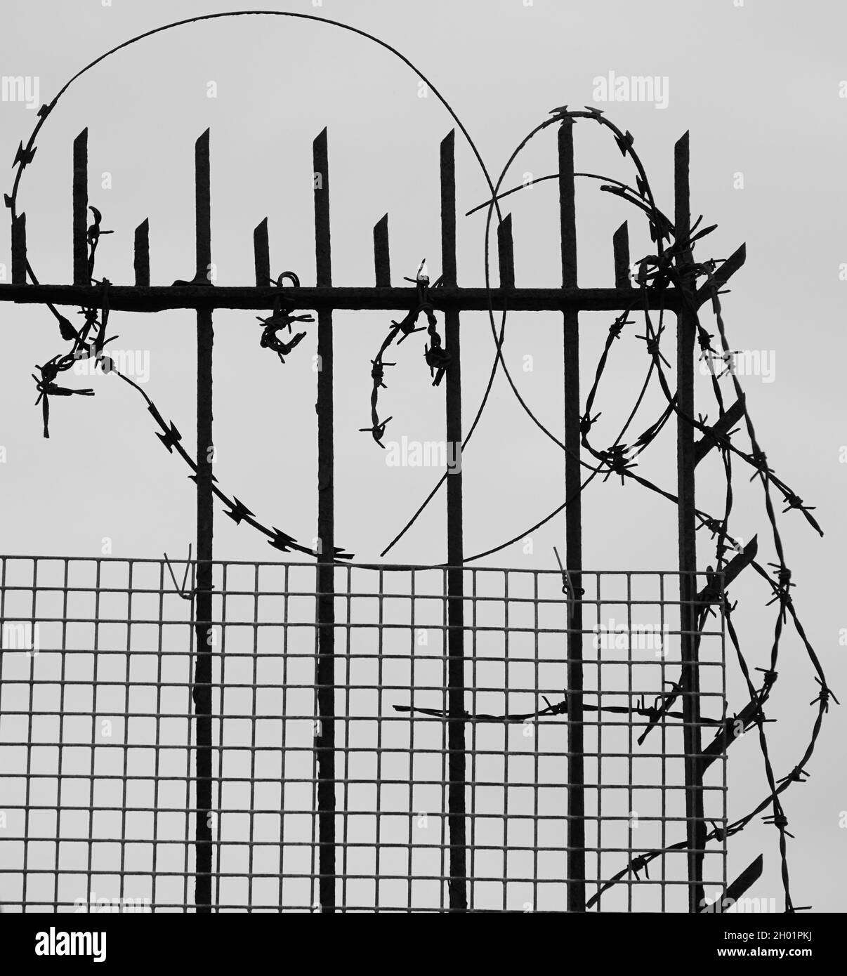 Lines and curves of barbed wire Stock Photo - Alamy