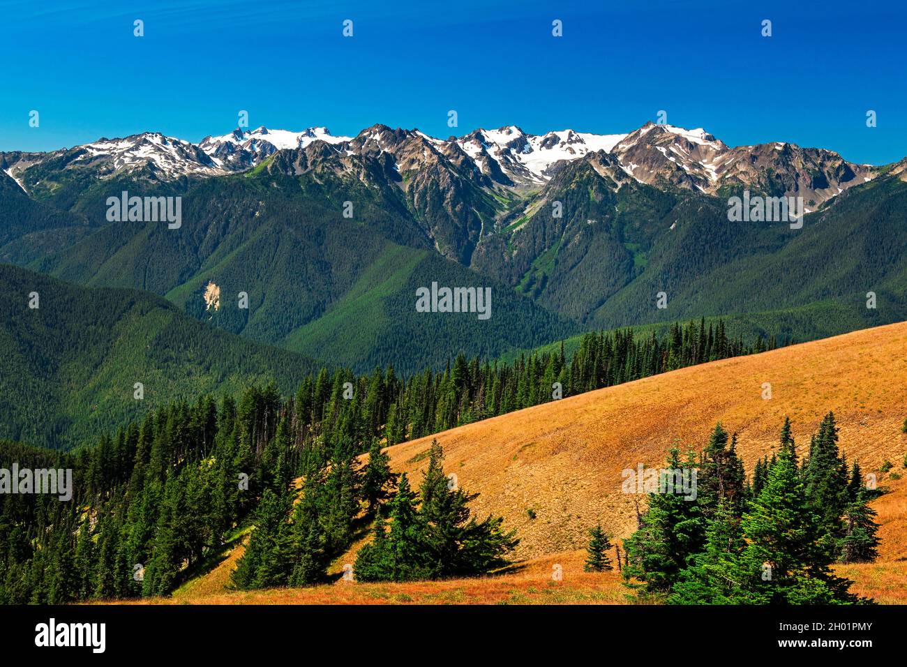 Hurricane Ridge, Olympic National Park, Washington Stock Photo - Alamy