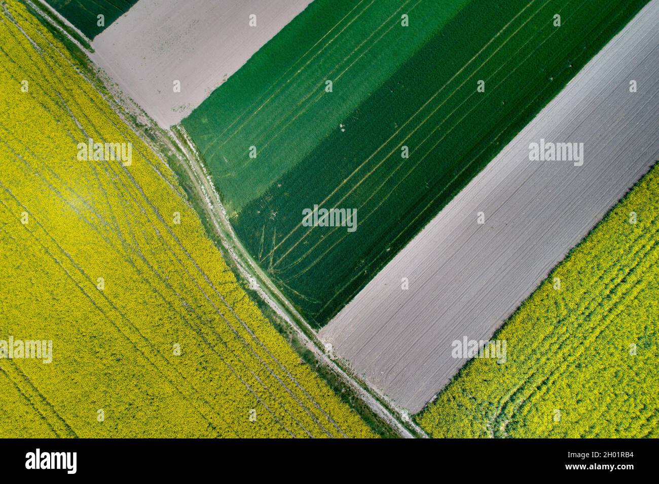 Aerial image of agricultural field with different cultures and colors ...