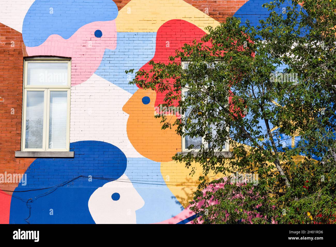 Tree in front of a house facade, Montreal Canada Stock Photo - Alamy