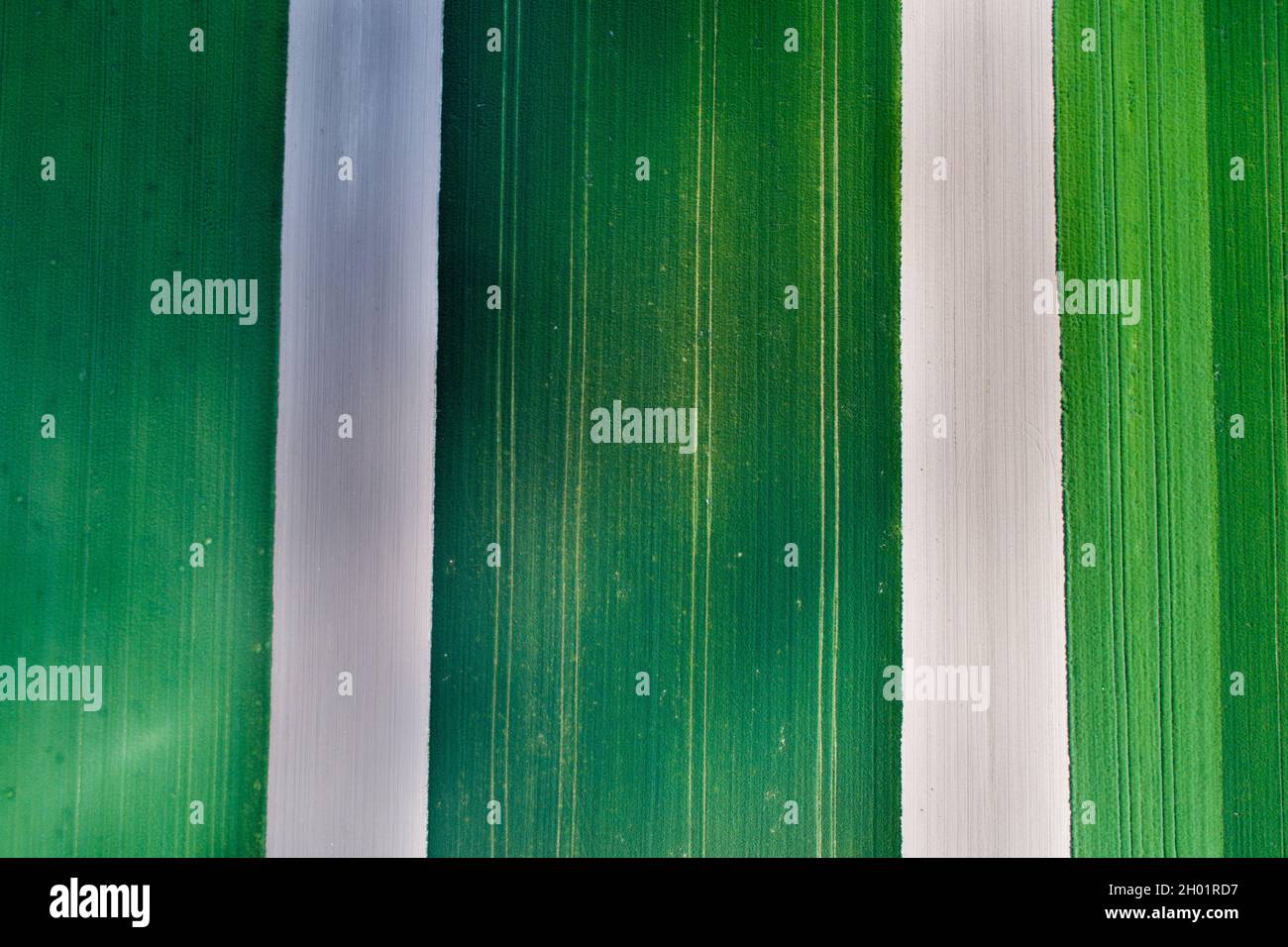 Aerial image of agricultural field with different cultures and colors ...