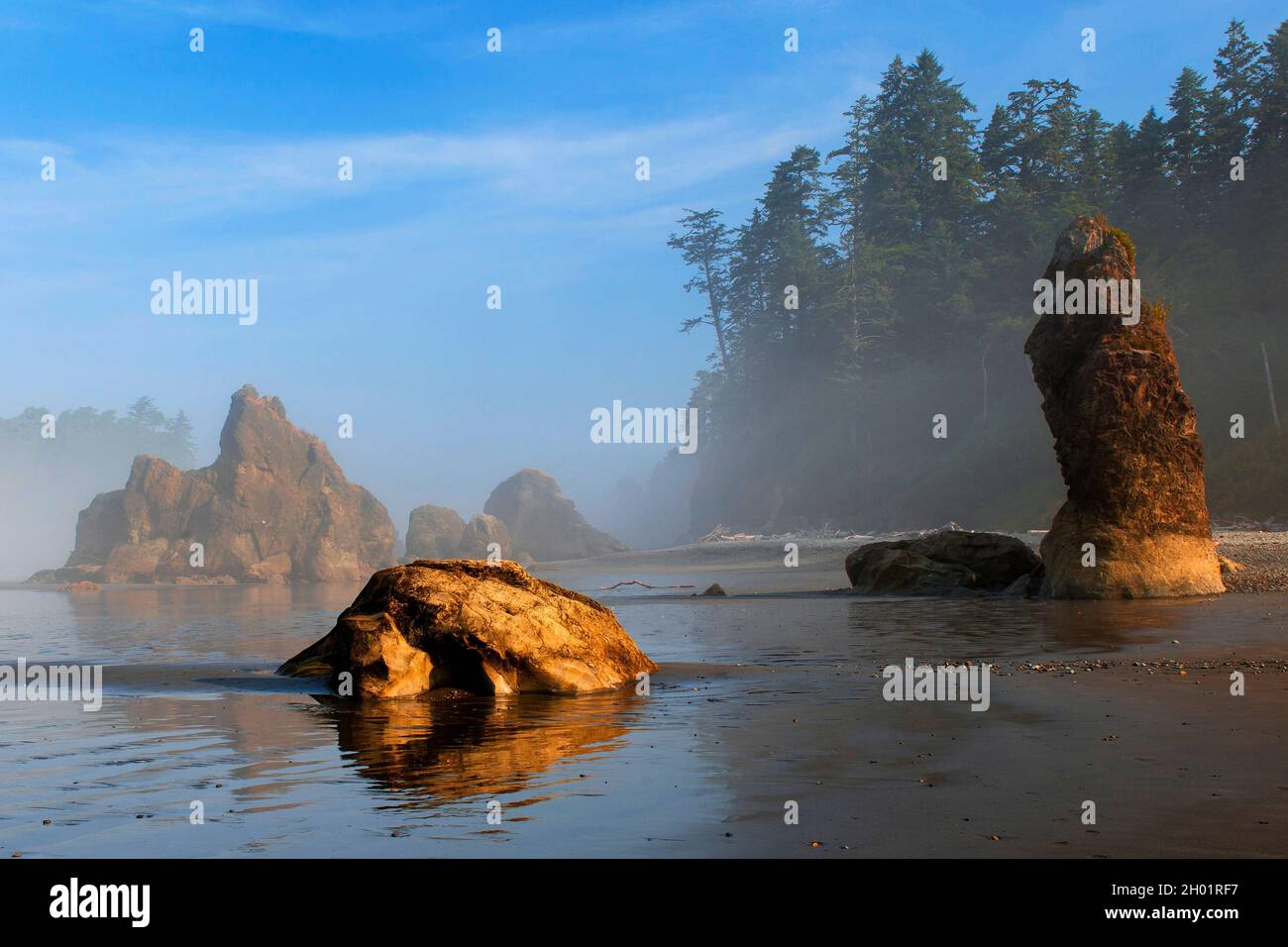 Sea Stack at Ruby Beach, Olympic National Park, Washington Stock Photo ...