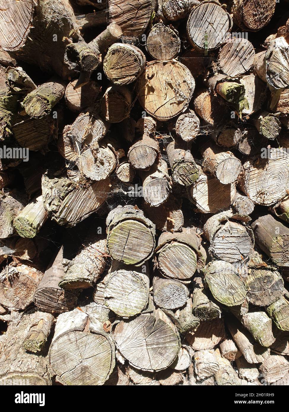 Holzscheite im Garten Stock Photo - Alamy