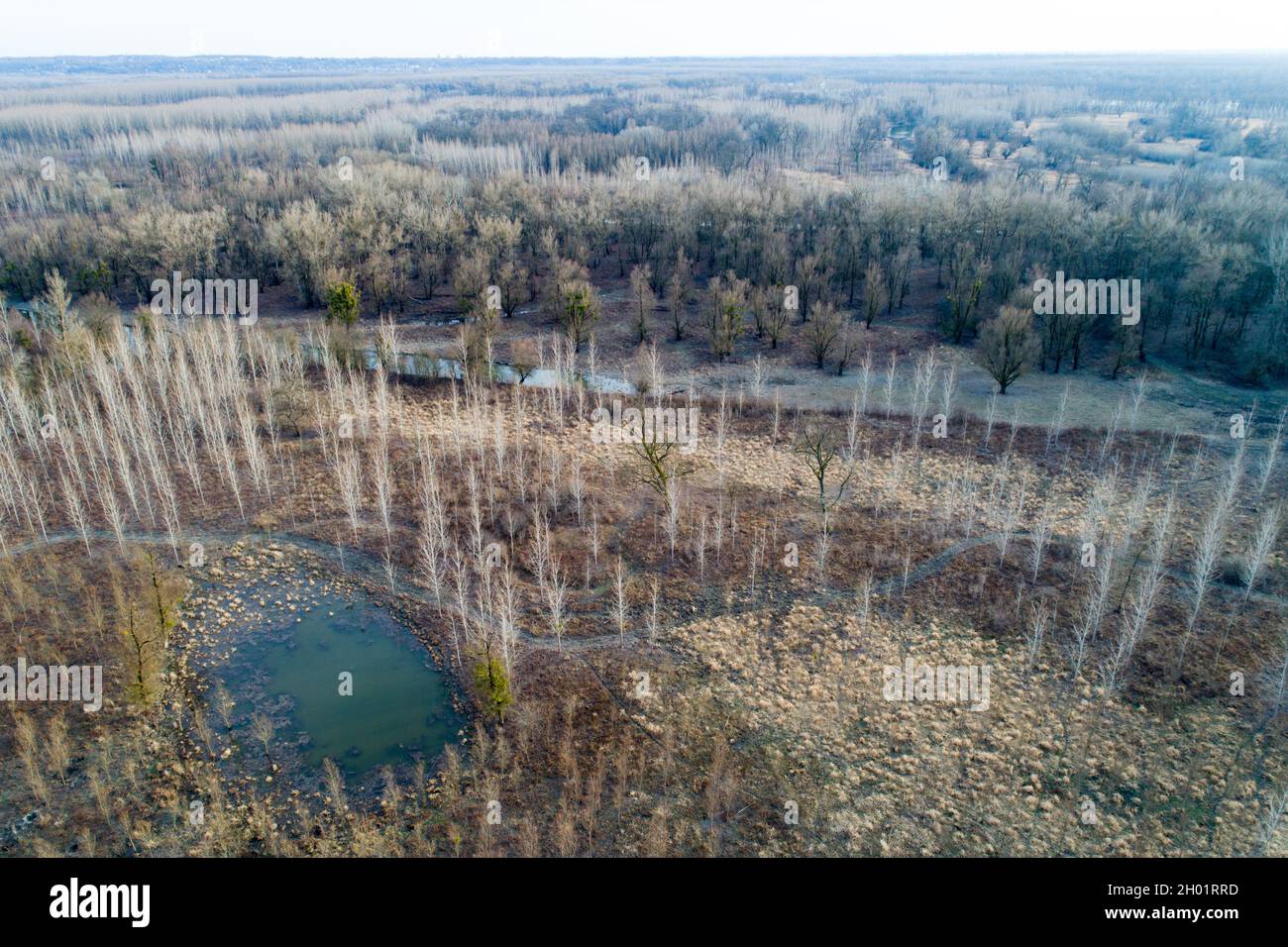 Aerial image of beautiful winter landscape of small ponds in forest ...