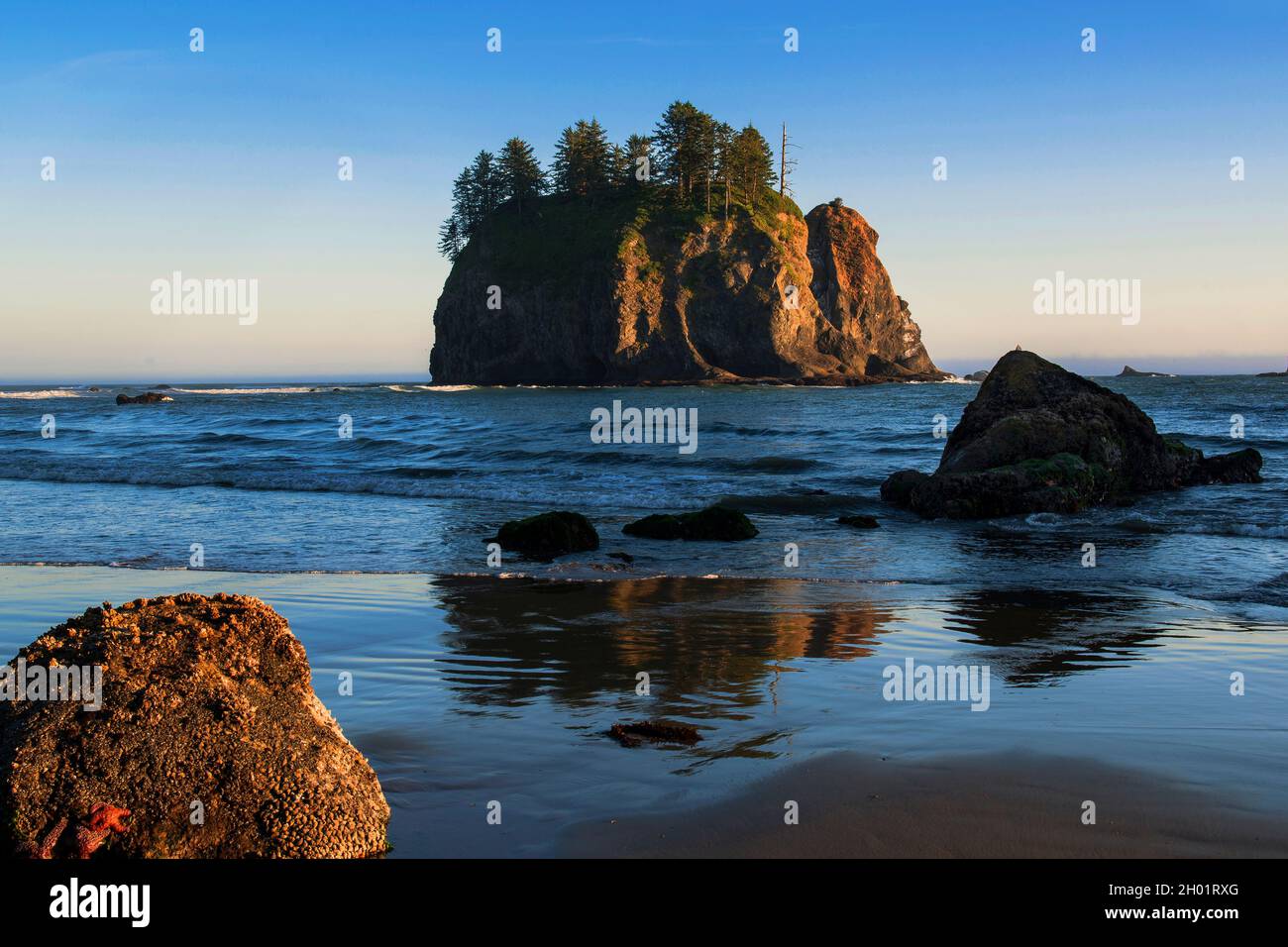View of Sea Stacks on Second Beach, La Push, Olympic National Park ...