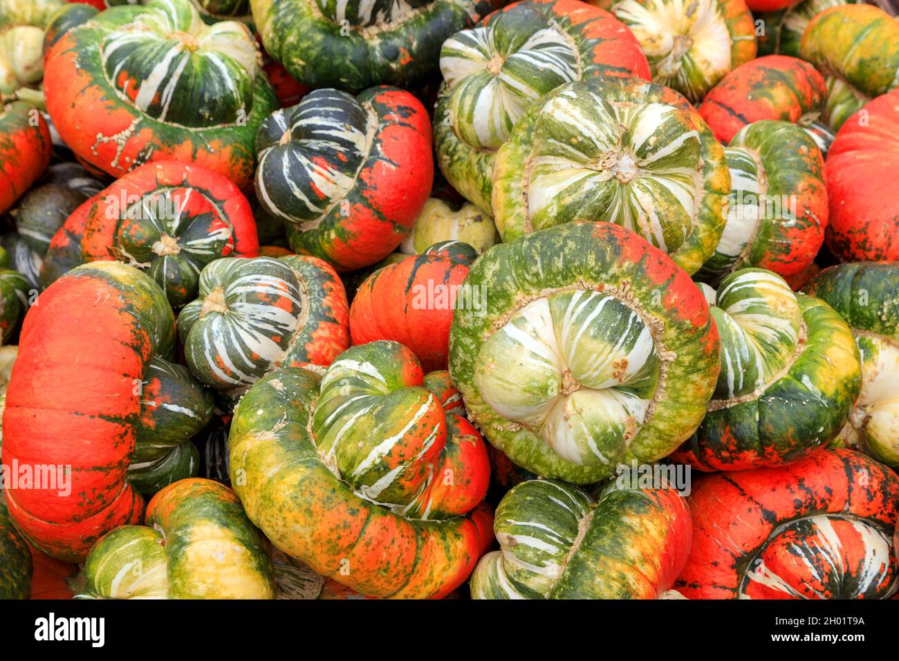 Green Turban Squash