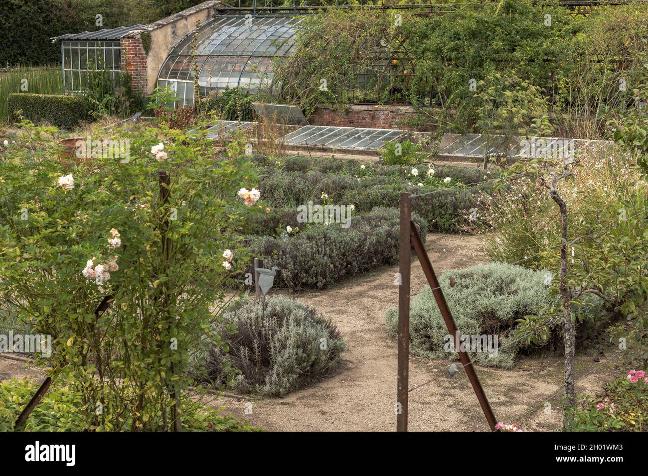 Over grown vegetable garden in Autumn Stock Photo - Alamy