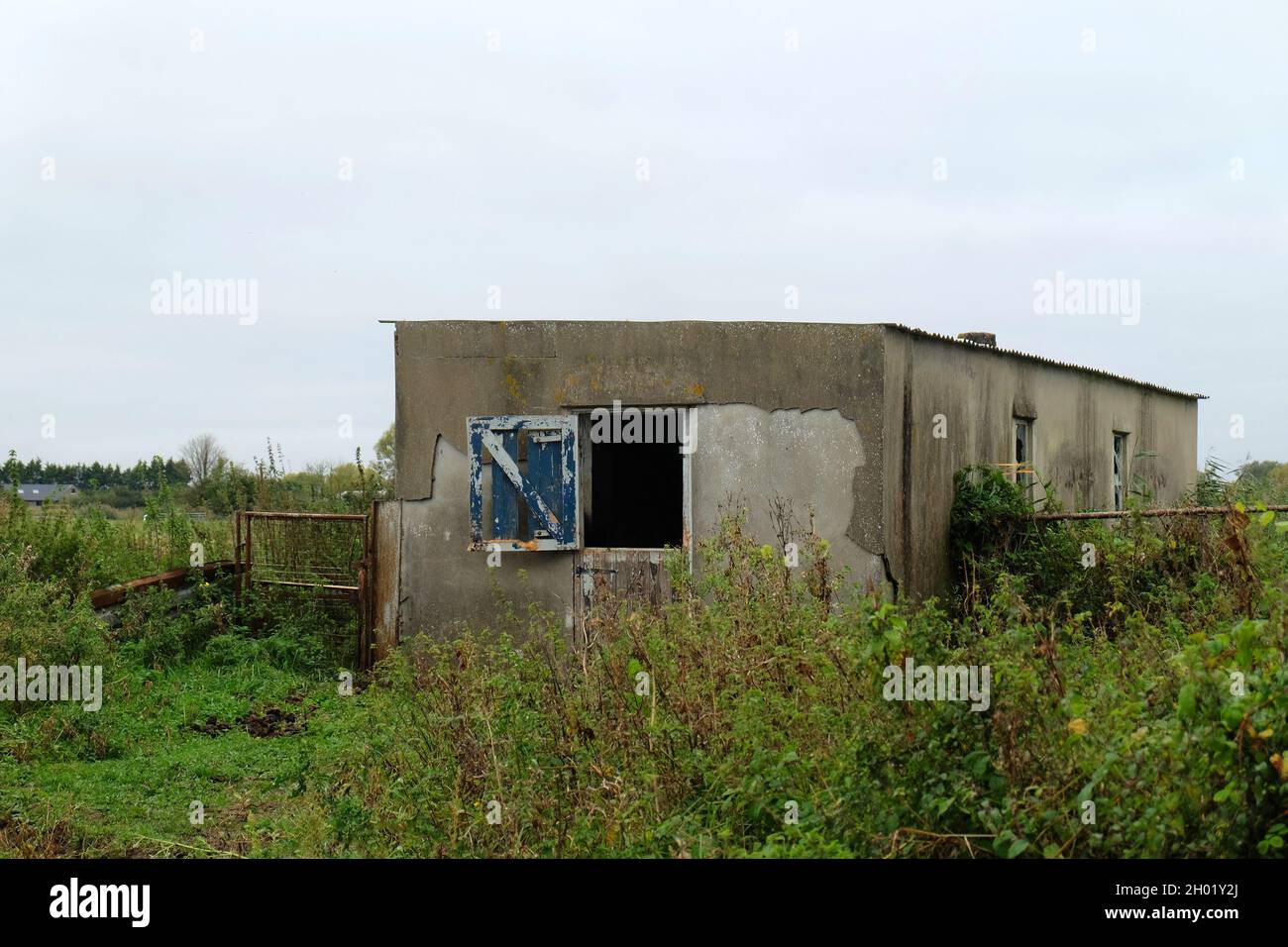 October 2021 - Old run down building used as a stable in rural Somerset ...