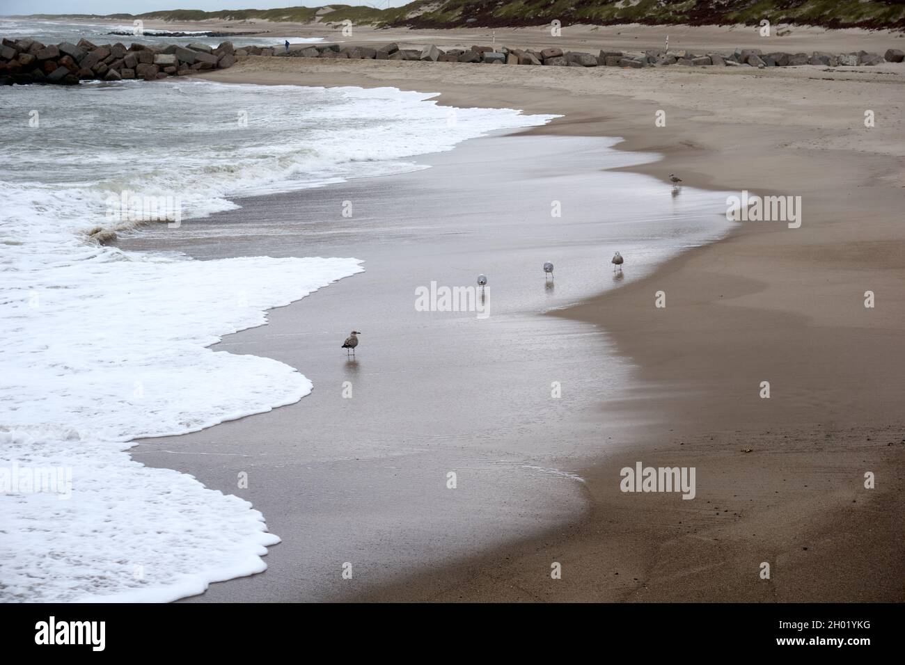 A beautiful view of a beach with wavy sea on a cloudy day Stock Photo ...