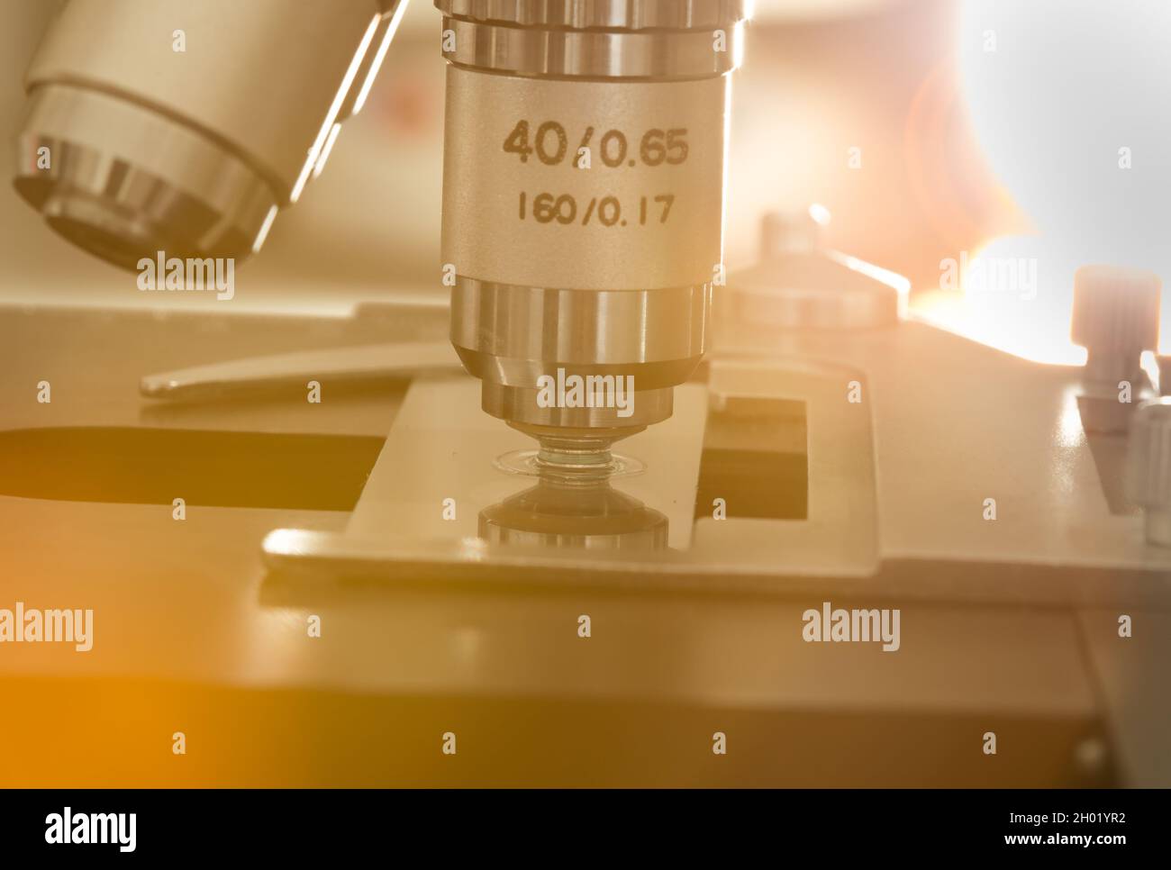 Close up of microscope lens above samples on slide glass in laboratory ...