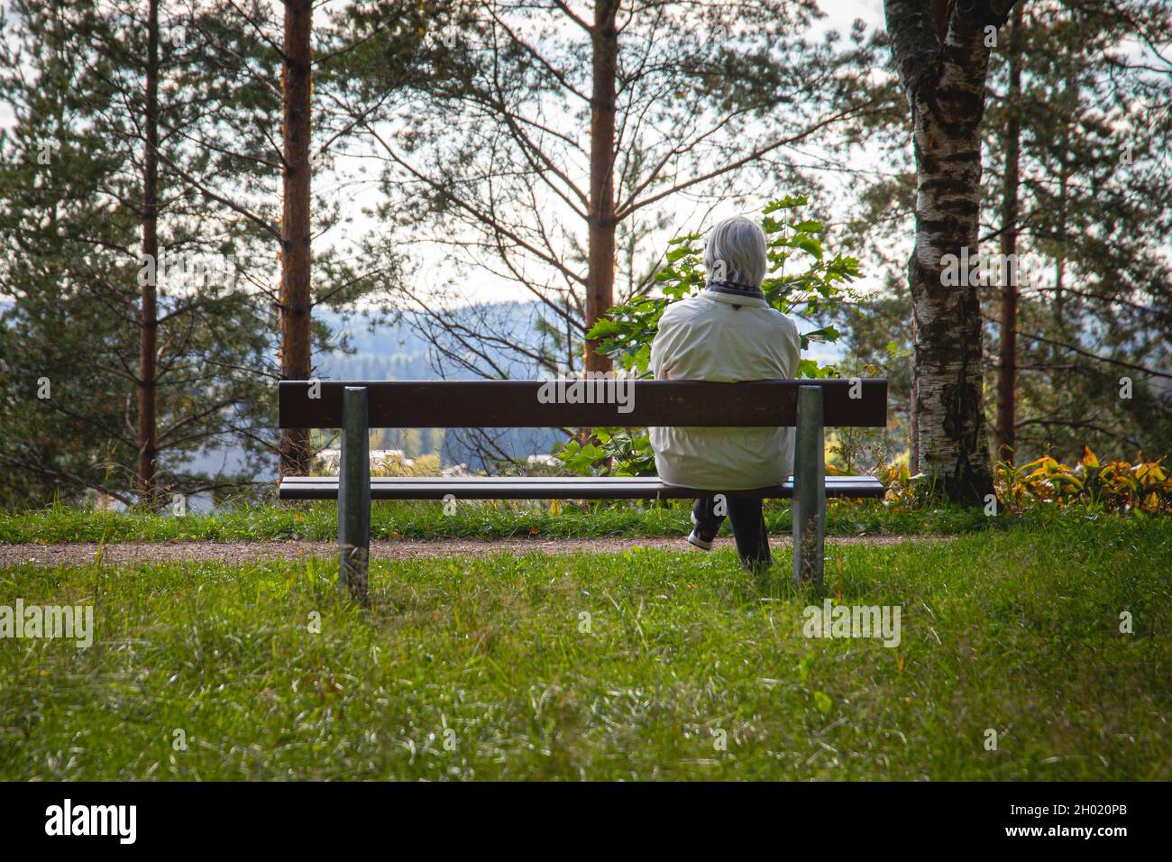 Man sitting bench behind hi-res stock photography and images - Alamy
