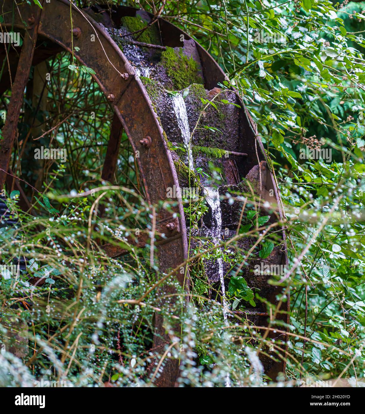 an overgrown rusted iron water wheel with flow running down the front ...