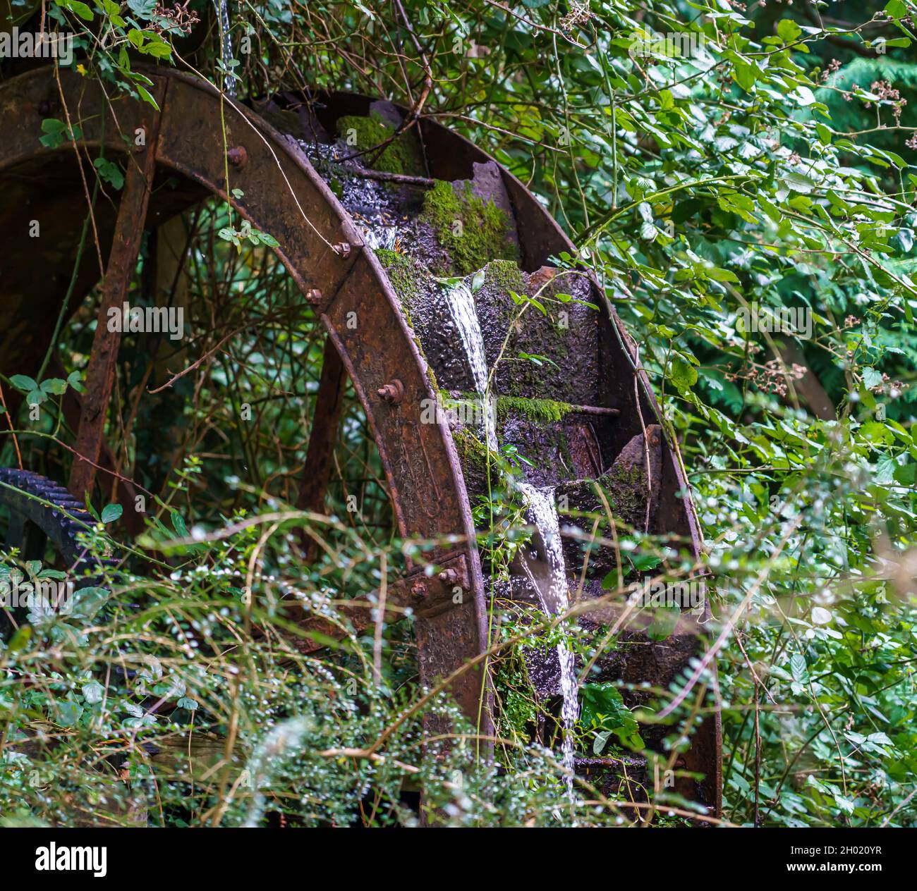 an overgrown rusted iron water wheel with flow running down the front ...