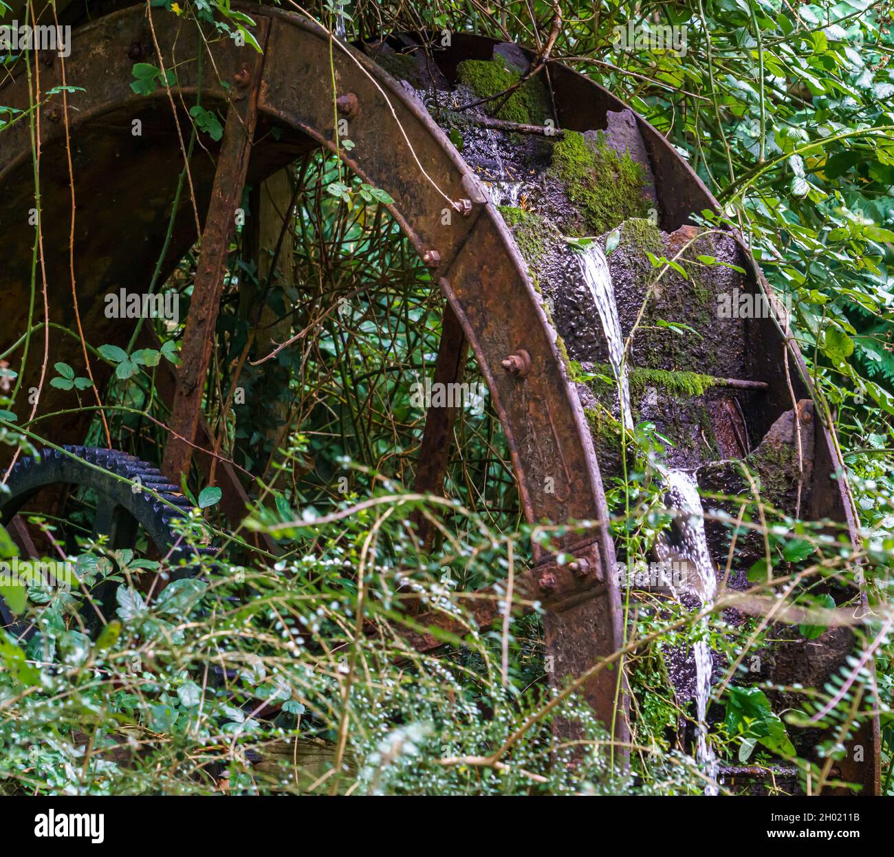 an overgrown rusted iron water wheel with flow running down the front ...