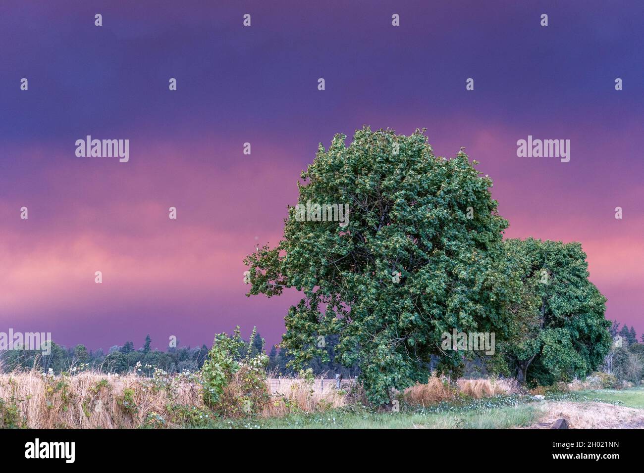 Oregon disasters hi-res stock photography and images - Alamy