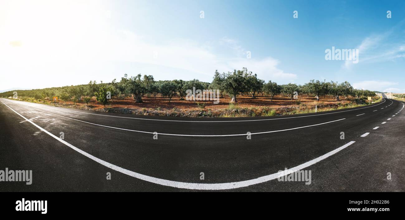 Panoramic landscape view of an Olive farm and the road Stock Photo - Alamy