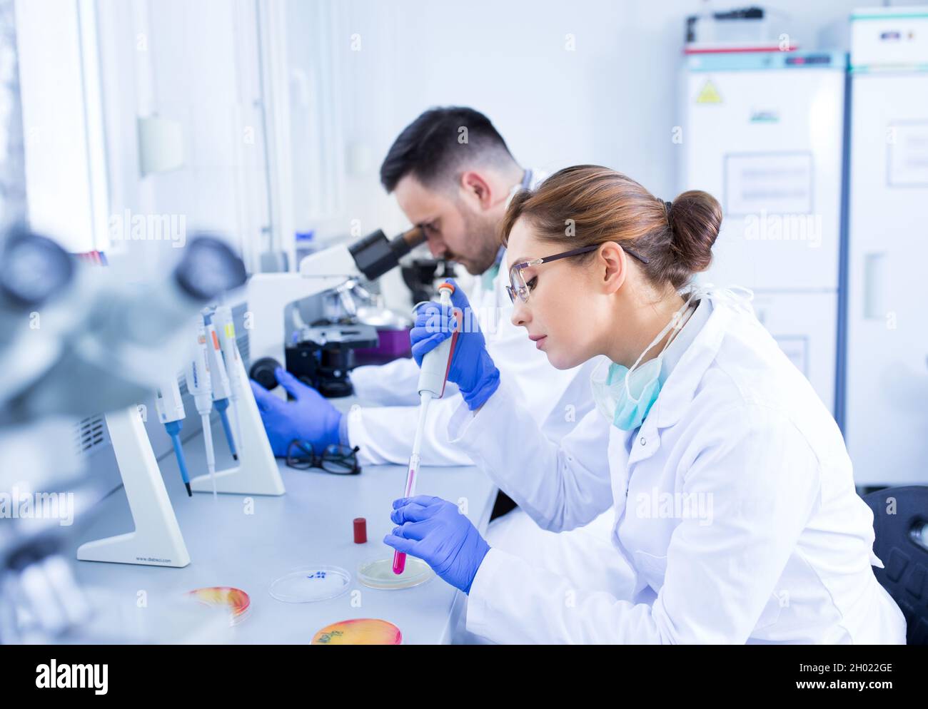 Team experienced biologists working hi-res stock photography and images ...