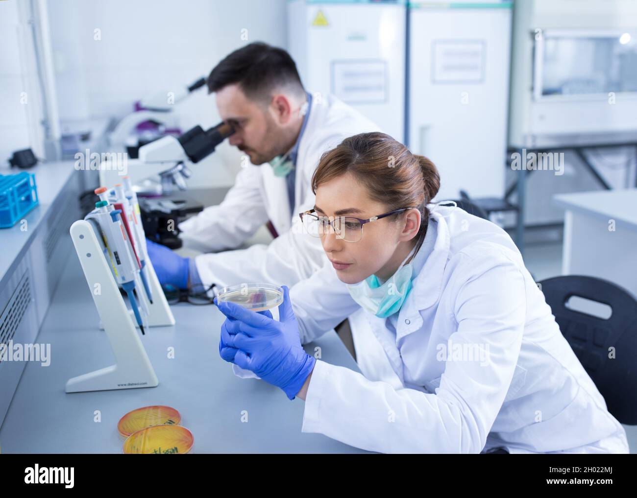 Team of experienced biologists working on samples in laboratory Stock ...