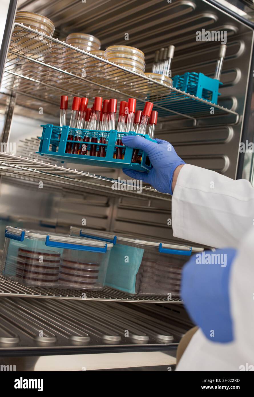 Modern incubator hi-res stock photography and images - Alamy