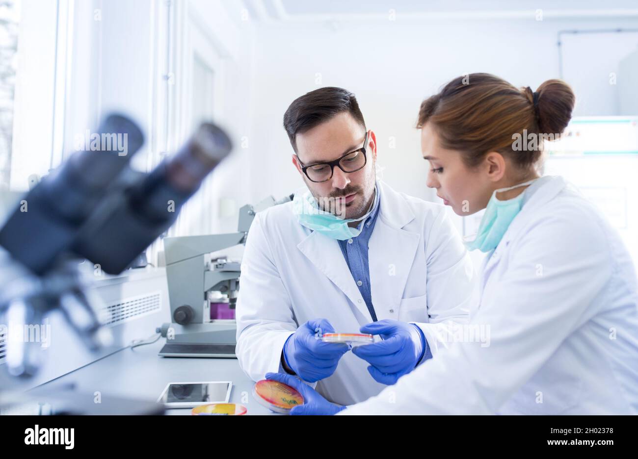 Microscope looking bacteria hi-res stock photography and images - Alamy