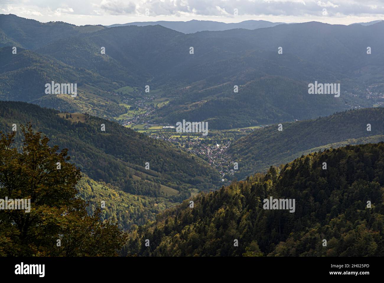 Massif vosges hi-res stock photography and images - Alamy