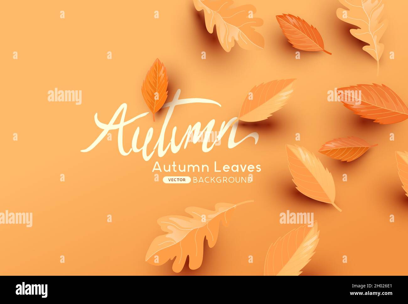 Falling autumn leaves background with copy space. Autumn fall vector ...