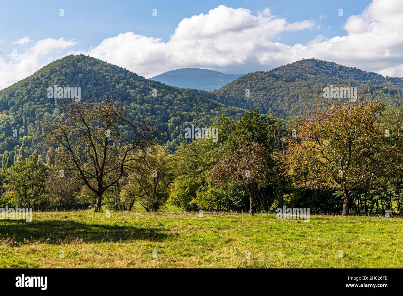 View of the Grand Ballon from Guebwiller-Buhl, France Stock Photo - Alamy