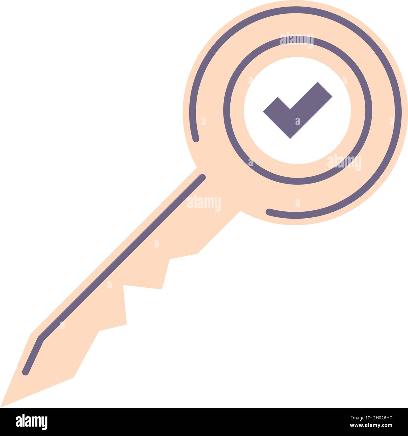 checkmark in key Stock Vector Image & Art - Alamy