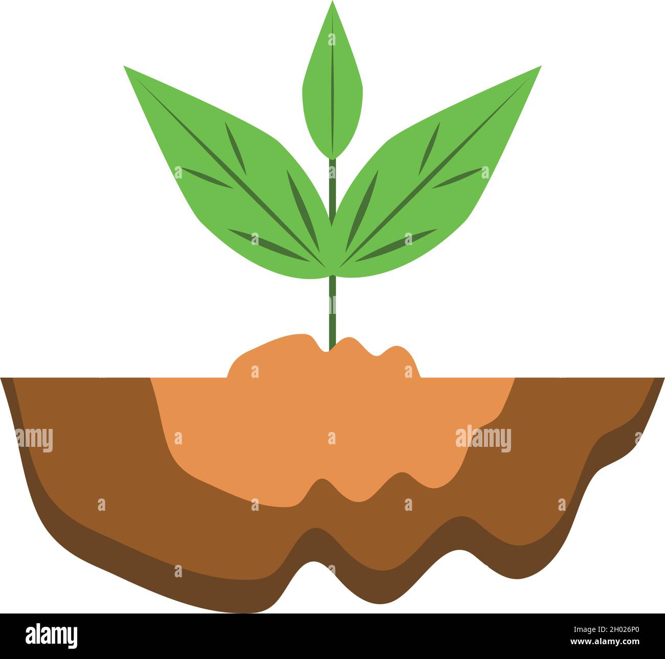 plant growing in the ground Stock Vector Image & Art - Alamy