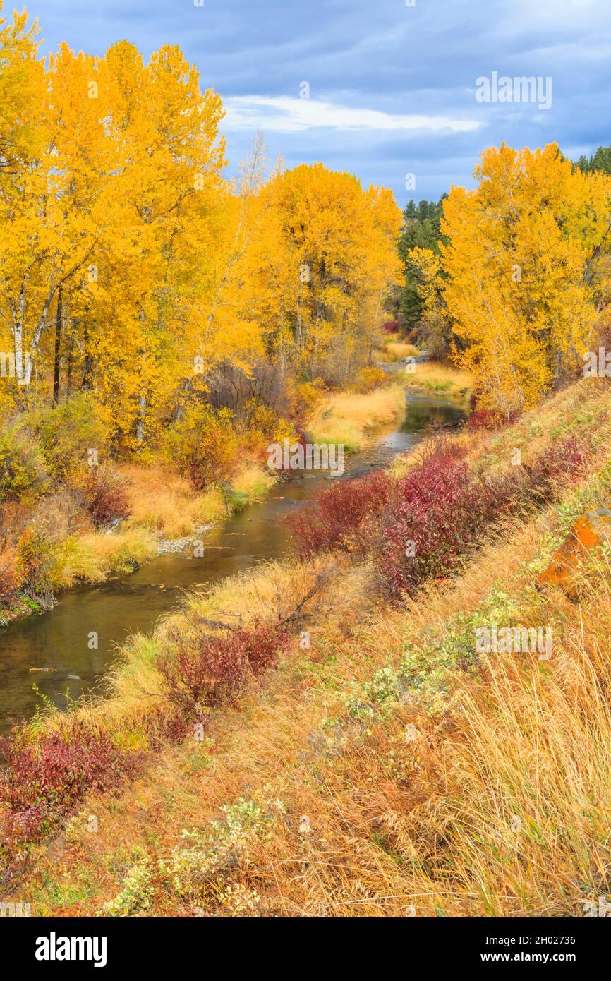 Shields river valley hi-res stock photography and images - Alamy
