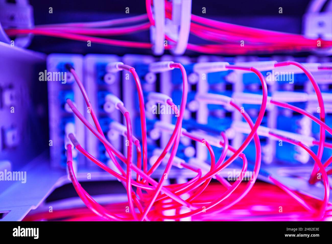Many network cables plugged into ports of network switch Stock Photo ...