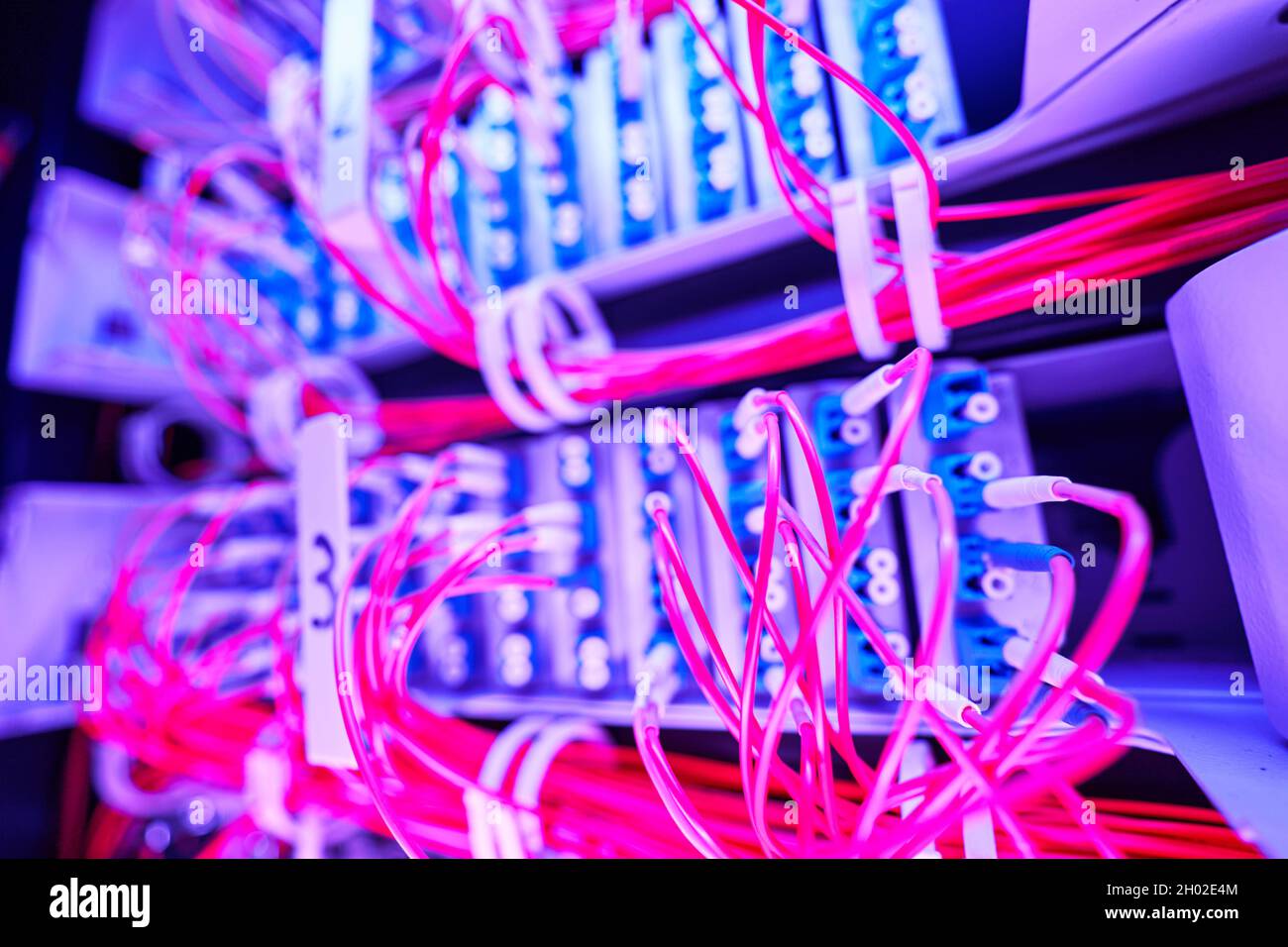 Pink optical fiber cables inserted into server switch Stock Photo - Alamy