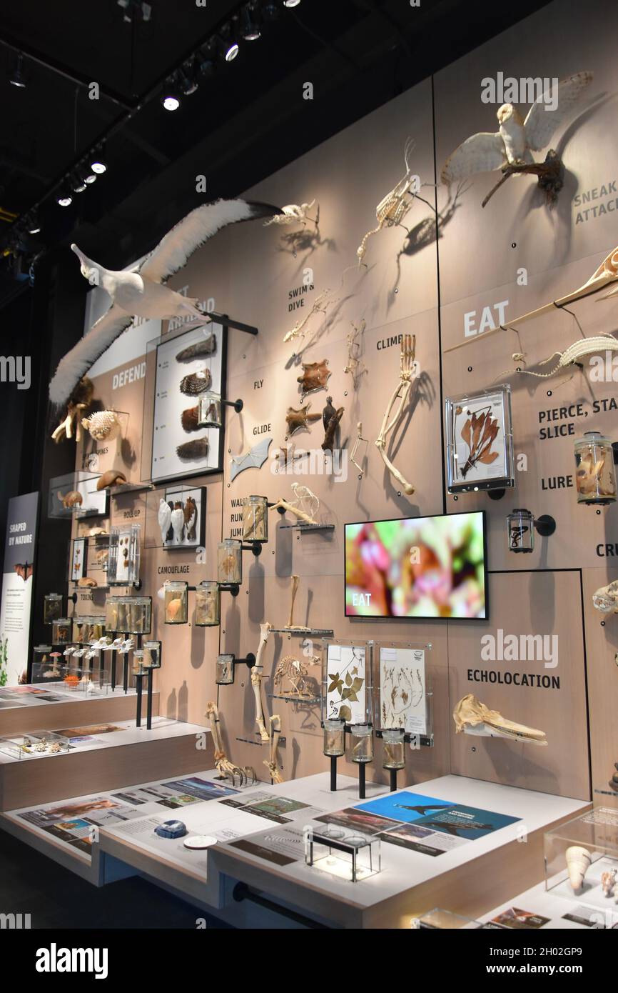 The Burke Museum of Natural History and Culture at the University of ...