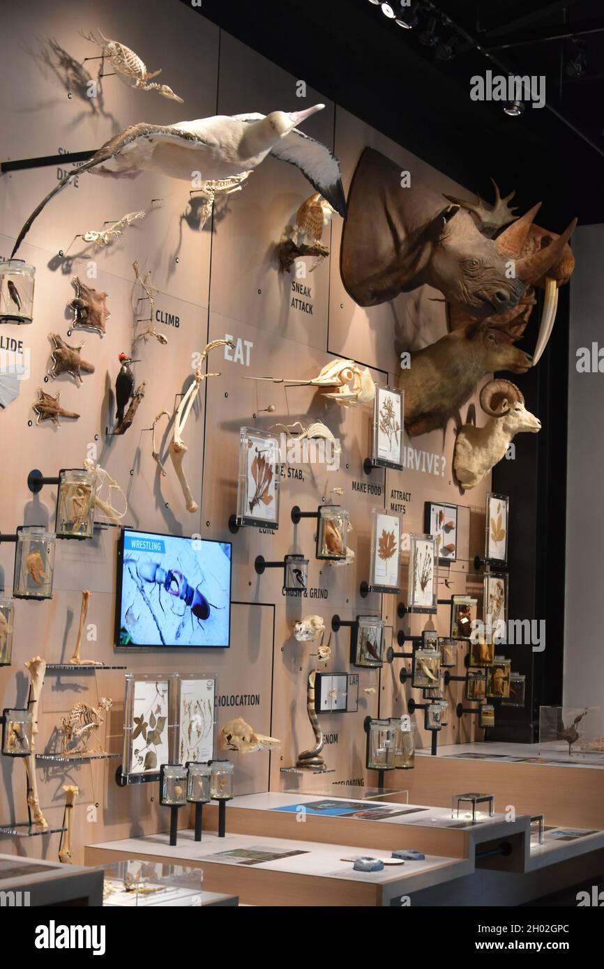 The Burke Museum of Natural History and Culture at the University of ...