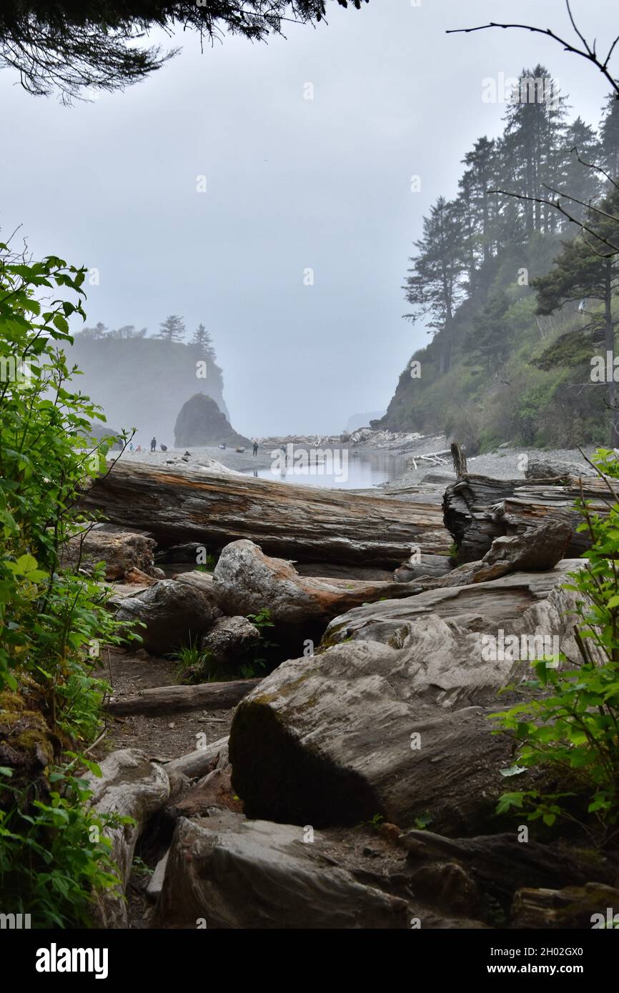 Beach outcropping rain hi-res stock photography and images - Alamy