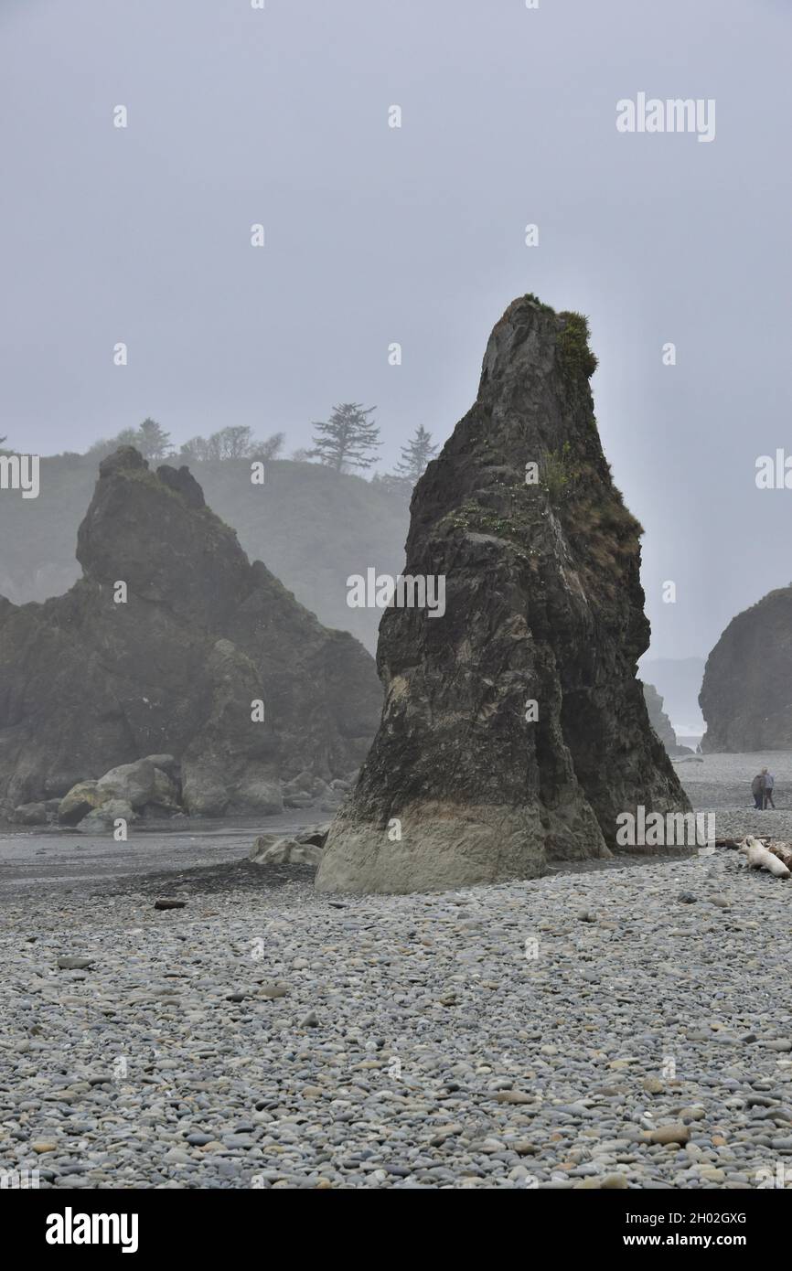 The coastal rock formations at Ruby Beach on a foggy day in Olympic ...