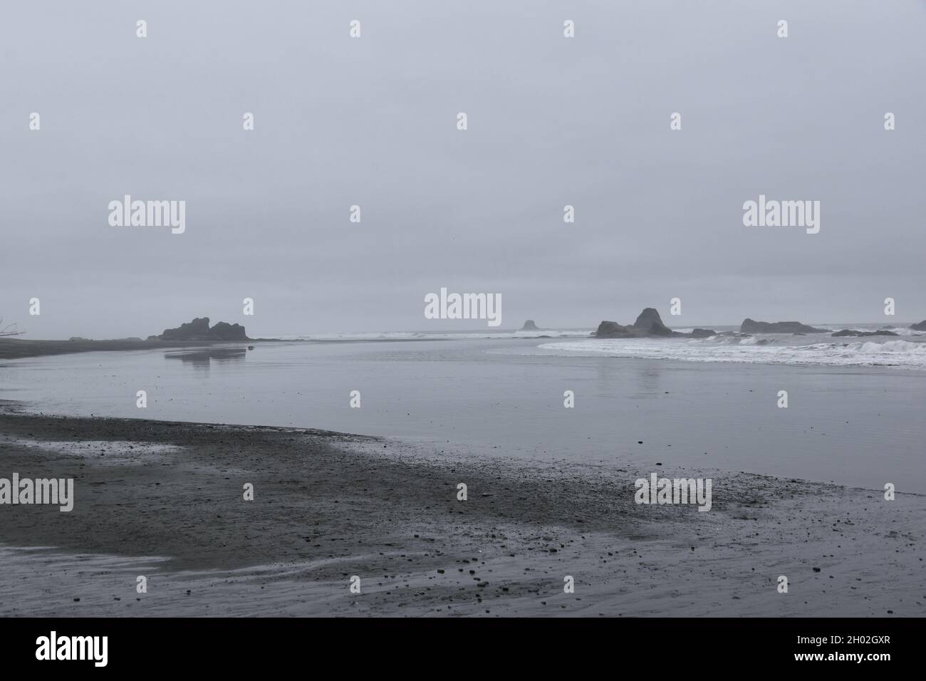 The coastal rock formations at Ruby Beach on a foggy day in Olympic ...