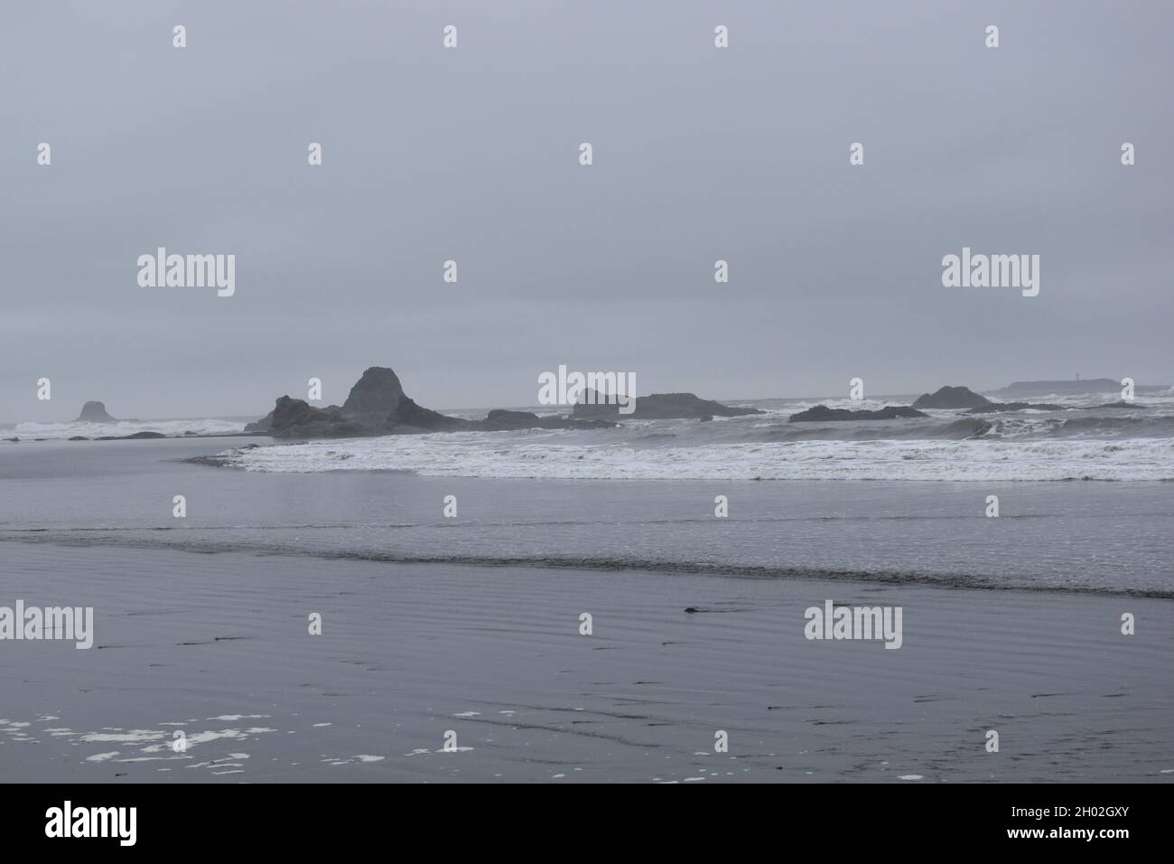 The coastal rock formations at Ruby Beach on a foggy day in Olympic ...